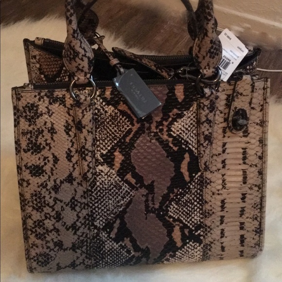 Coach | Bags | Authentic Coach Snake Print Nwt | Poshmark